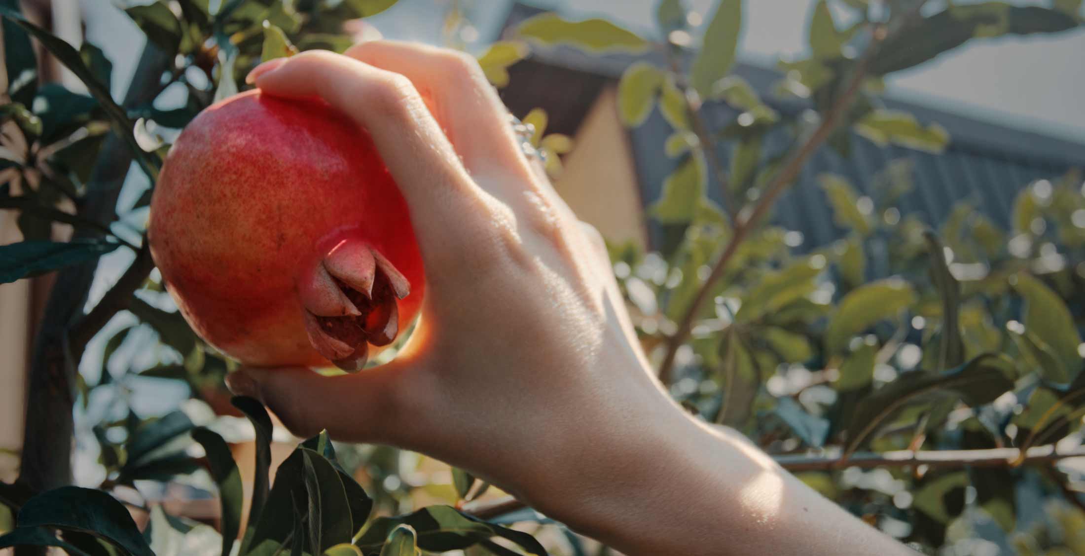 4 Ways to Reimagine Your Rosh Hashanah - Jews for Jesus