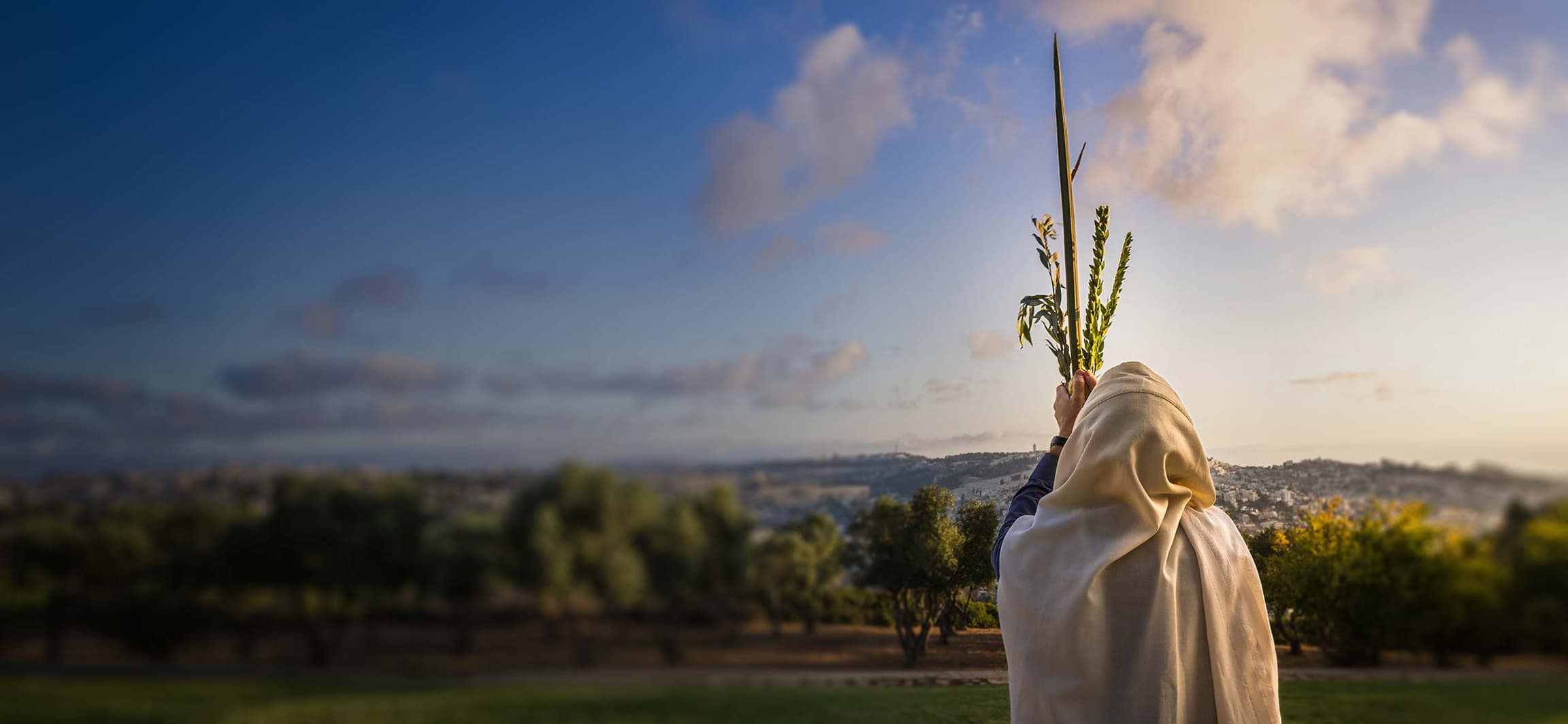 Learn - Jews for Jesus