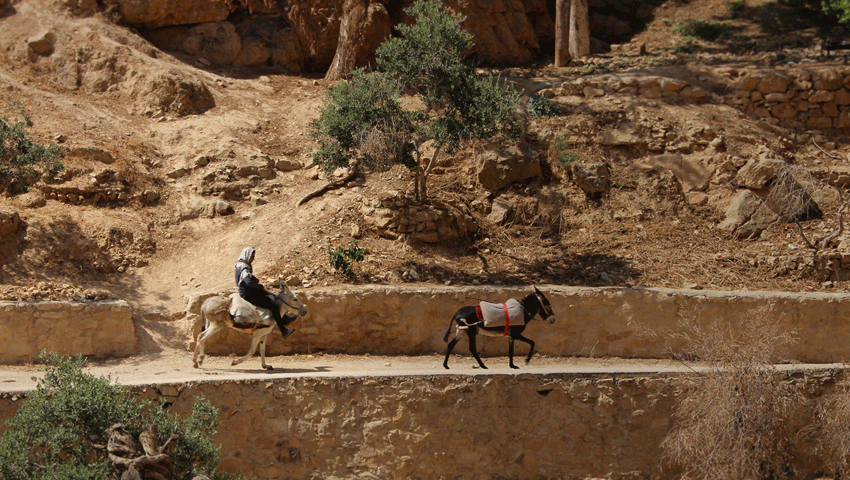 Two Messiahs in Judaism: Ben David and Ben Joseph - Jews for Jesus