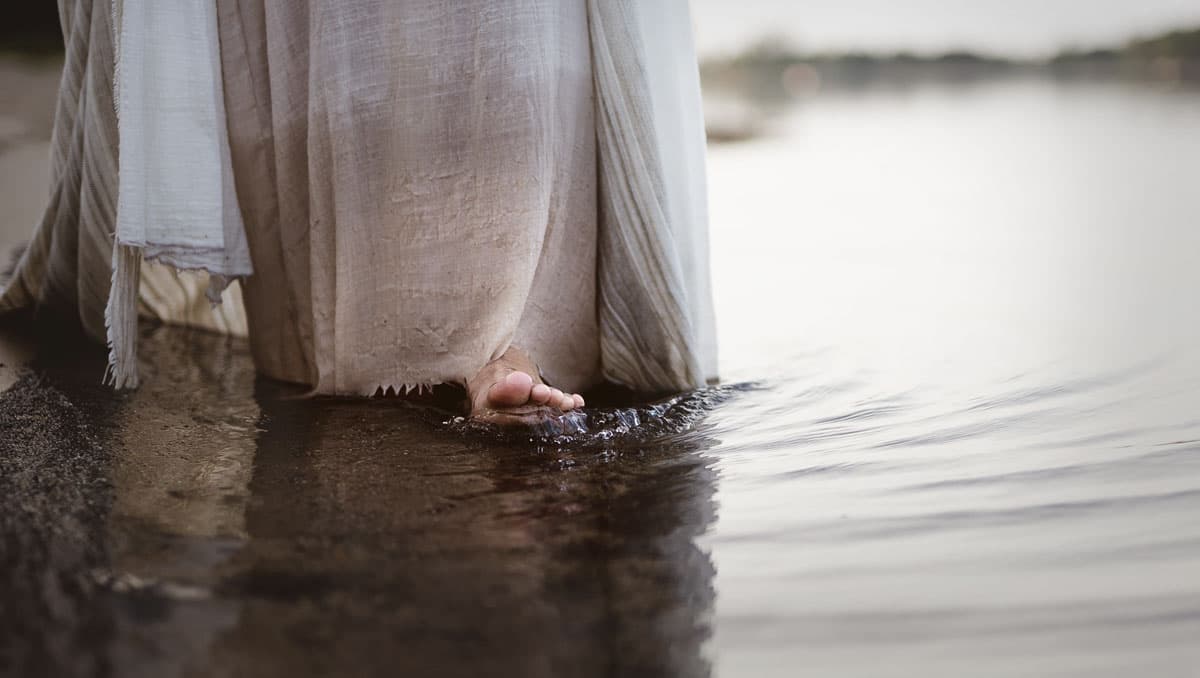 Who Is Jesus? A Character Profile - Jews for Jesus